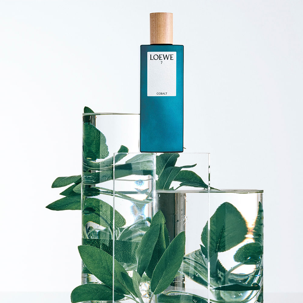 Loewe 7 Cobalt Eau de Parfum - Perfume Masculino 100ml - neeche Loewe 7 Cobalt Eau de Parfum - Perfume Masculino 100ml - neeche